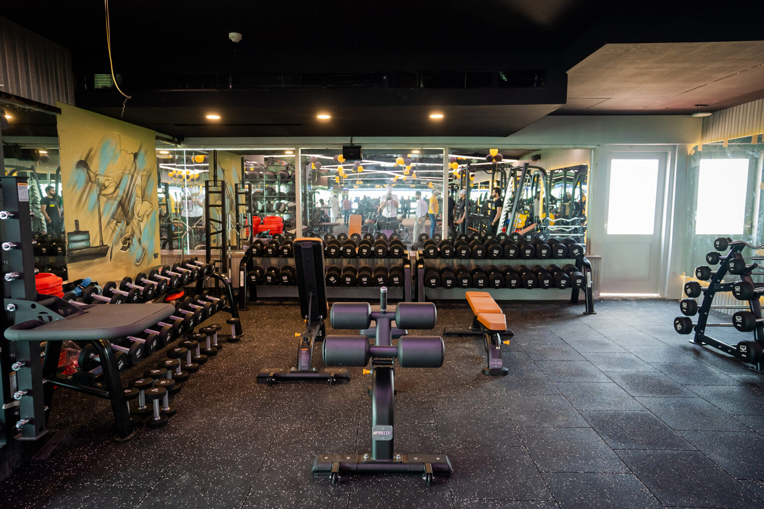 SS Royal – Most Luxurious Gym In Ludhiana